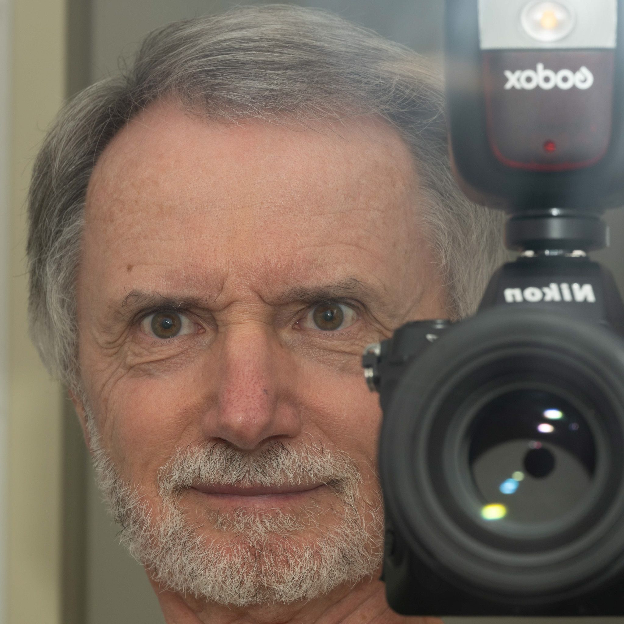 Ehrenamtliche Erheber*innen - Viel-Falter